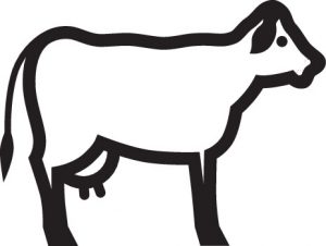 Makaton - Rotherham Opportunities College